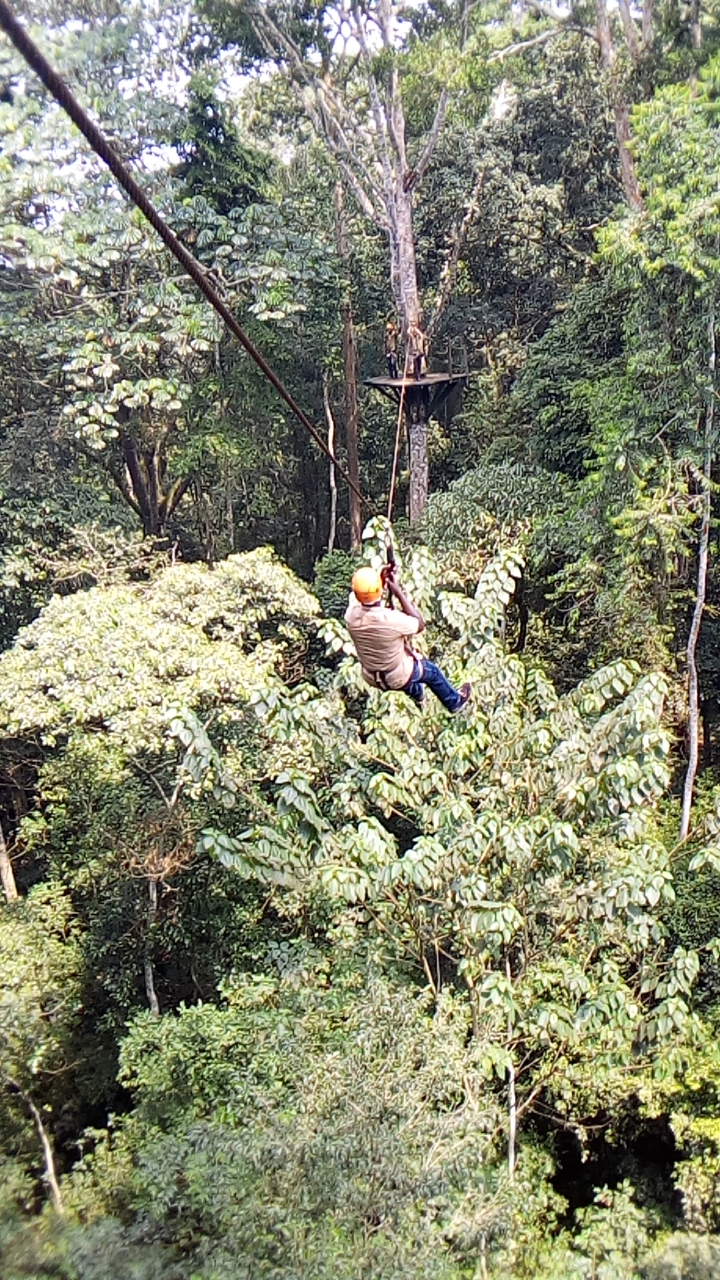 Zip lining in Uganda. - Uganda Safaris | Gorilla Trekking | Gorilla ...