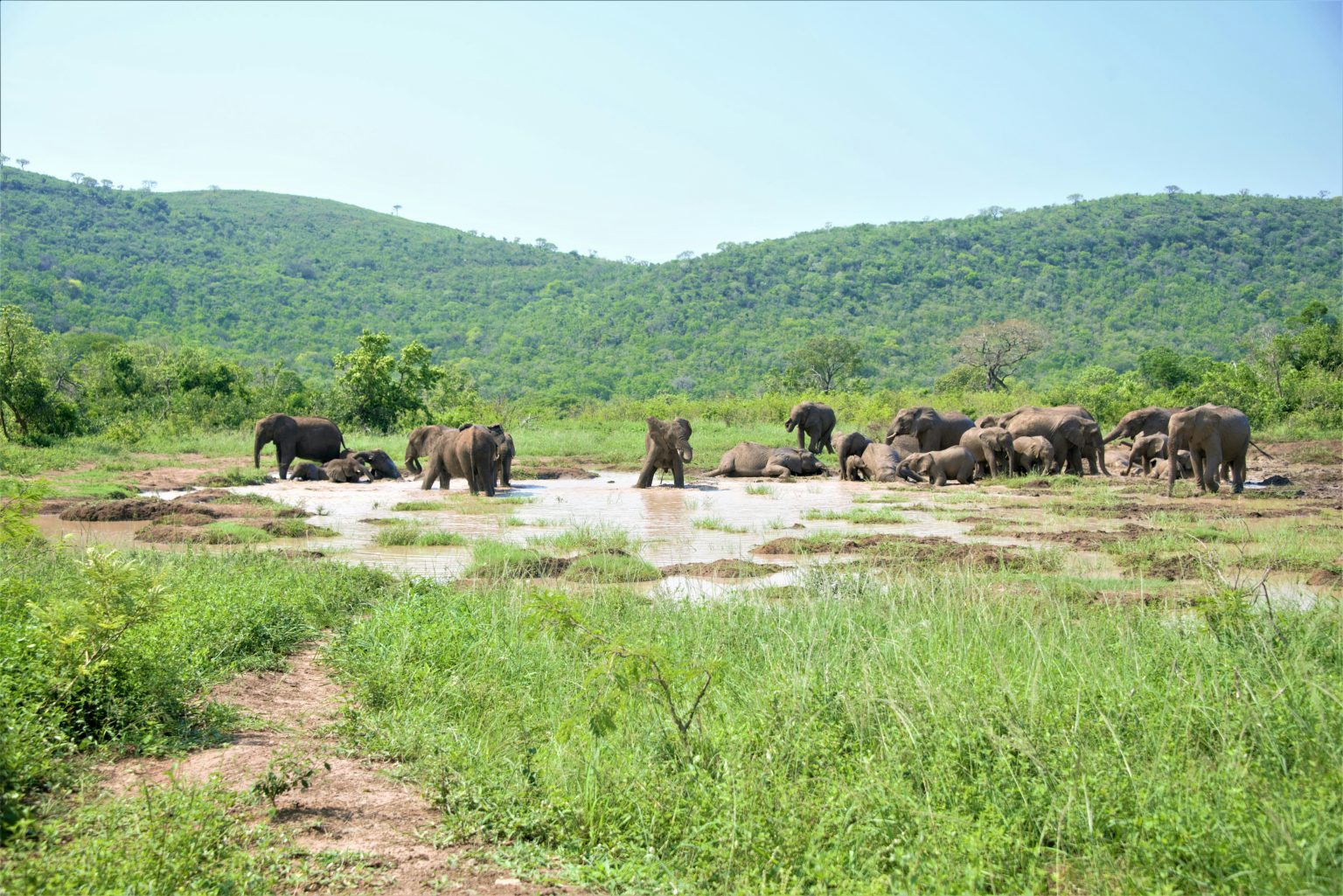 Ajai wildlife reserve in Uganda - Uganda Safaris | Gorilla Trekking ...